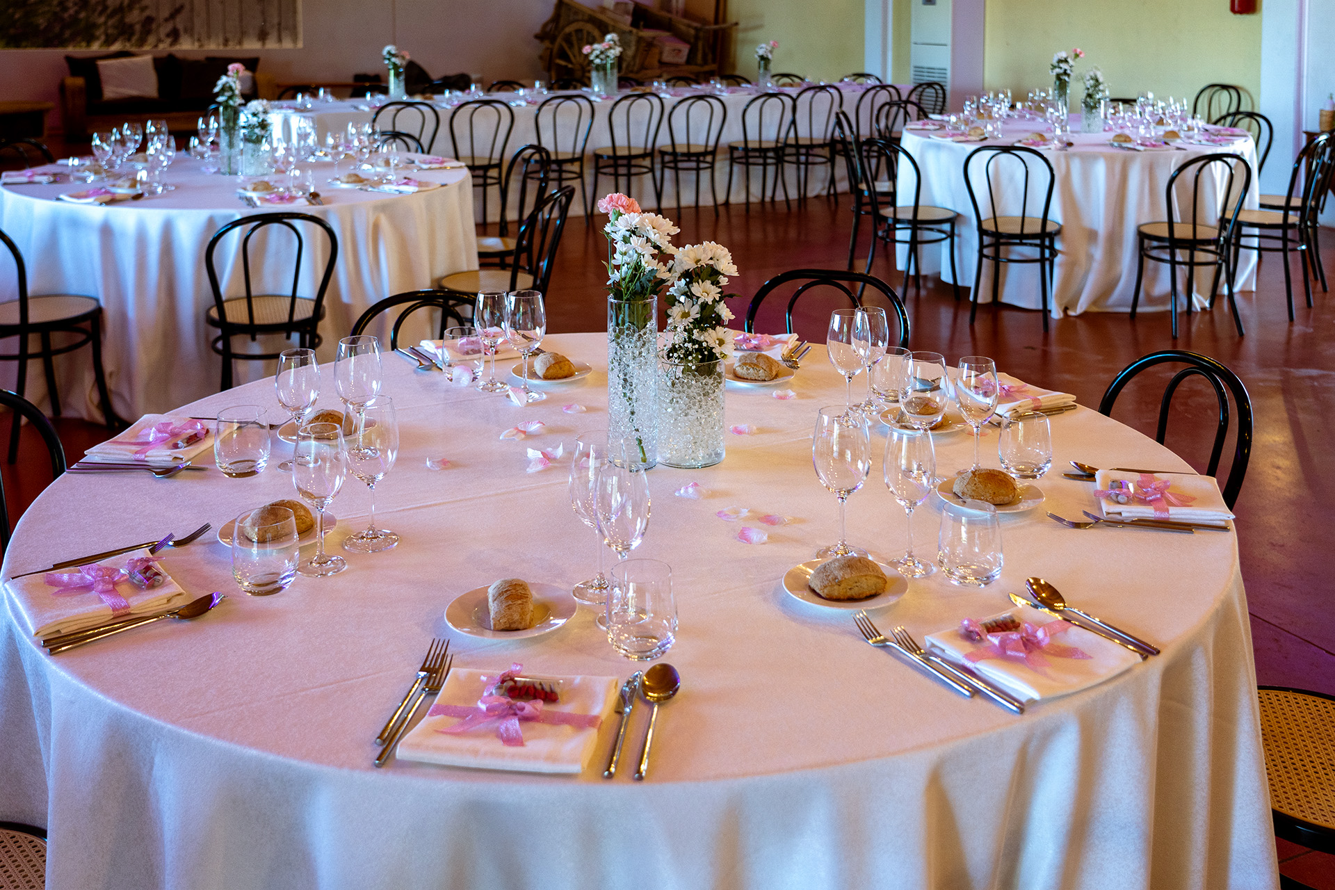 Battesimi e Comunioni – Location 511