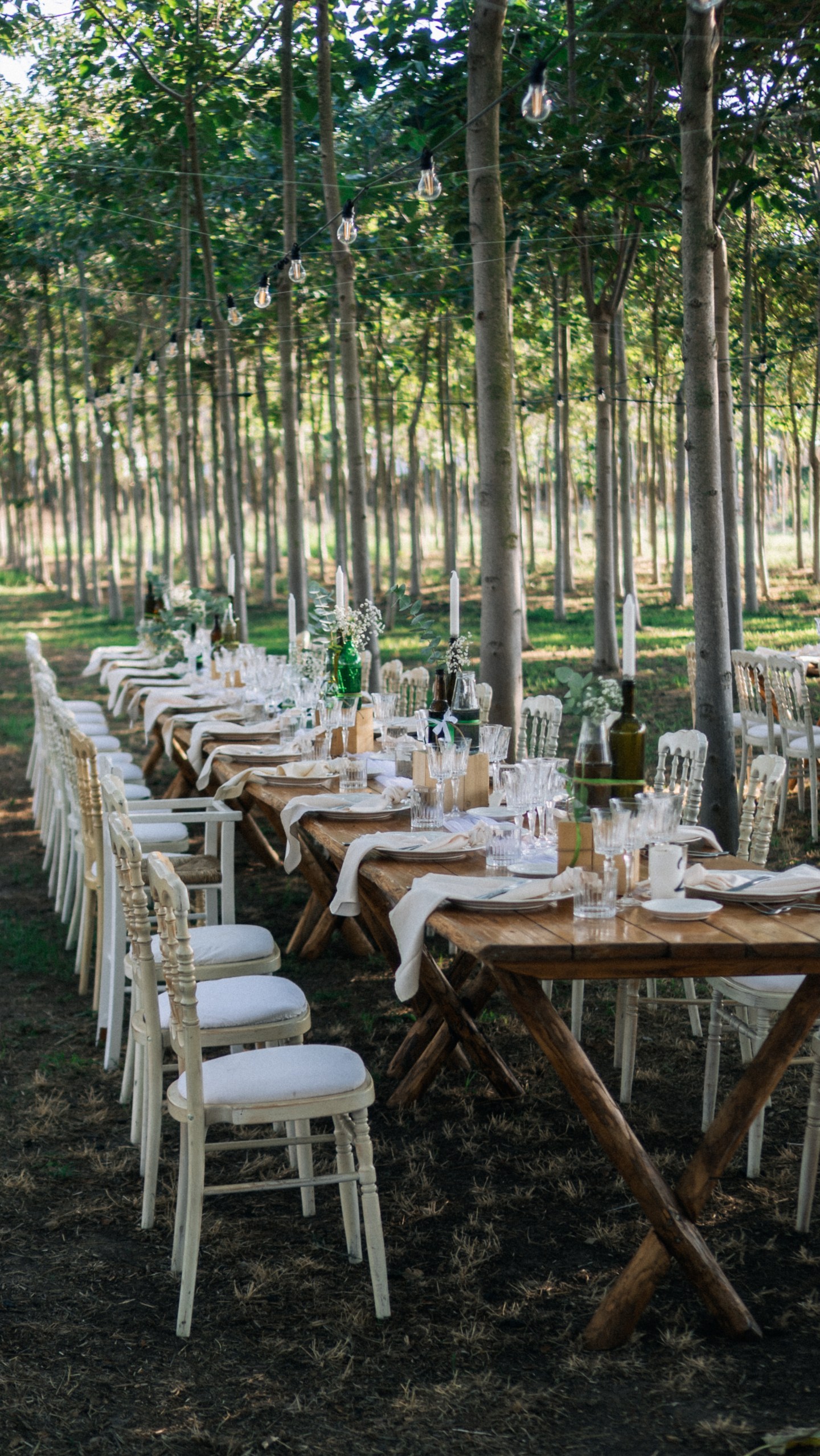 Matrimonio nel bosco, un grande sogno da realizzare a due passi da Roma ...